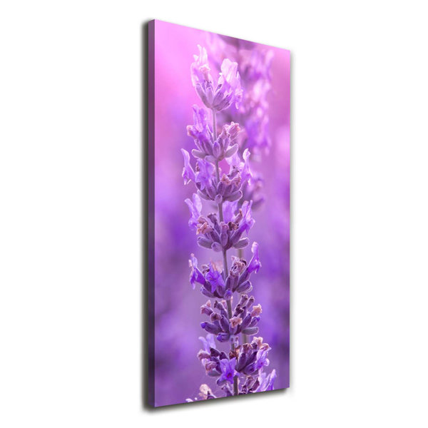 Ebern Designs Lavendelfeld - Kunstdrucke auf Leinwand - Wrapped Canvas | Wayfair.de